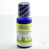DIVINE ESSENCE – Grain de Beauté &co
